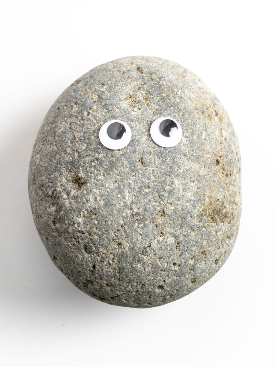 Adopt a Pet Rock: Scavenger Hunt & Craft | Ames Free Library